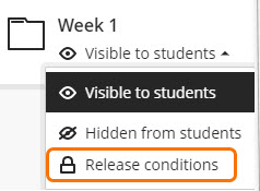 Release Conditions - Technology Enhanced Learning Support for Staff