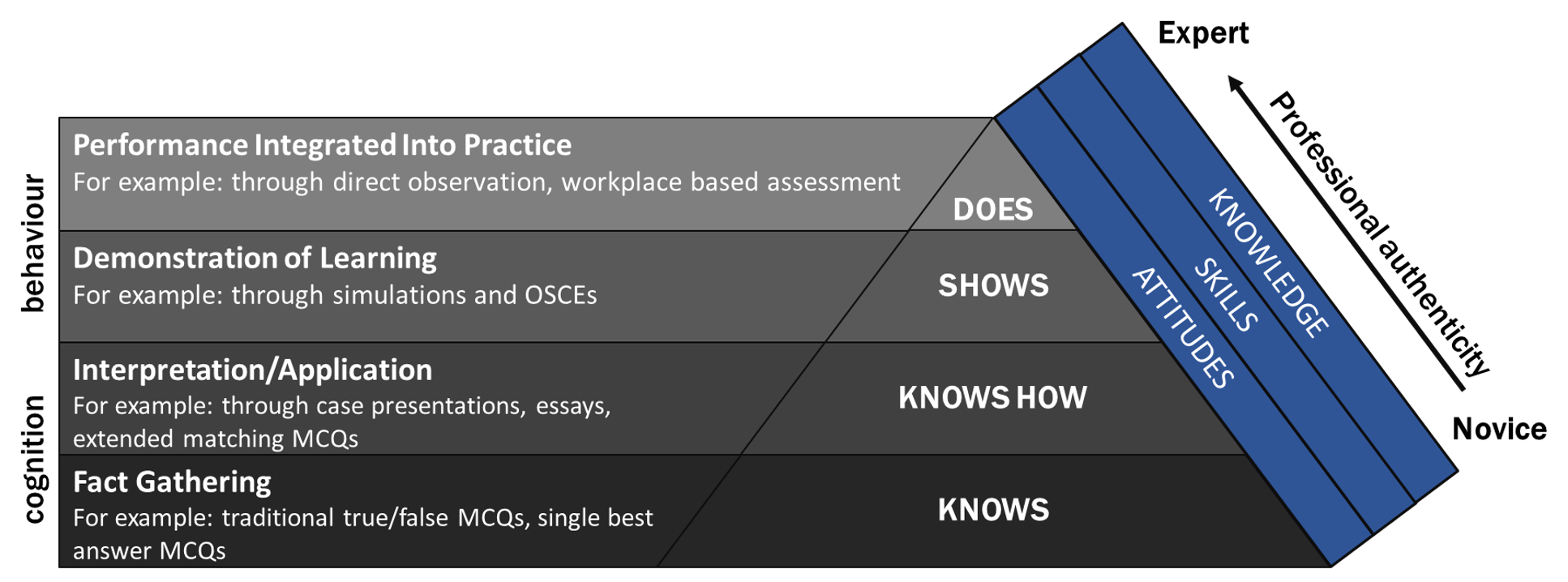 Clinical skills development: using controlled condition assessment to ...