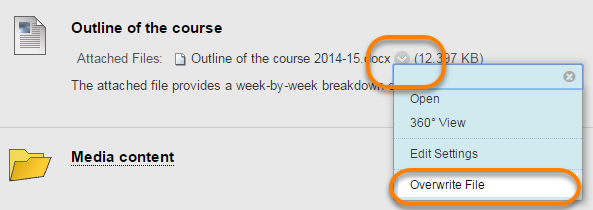 Blackboard: Overwriting Files - Blackboard Help for Staff - University ...