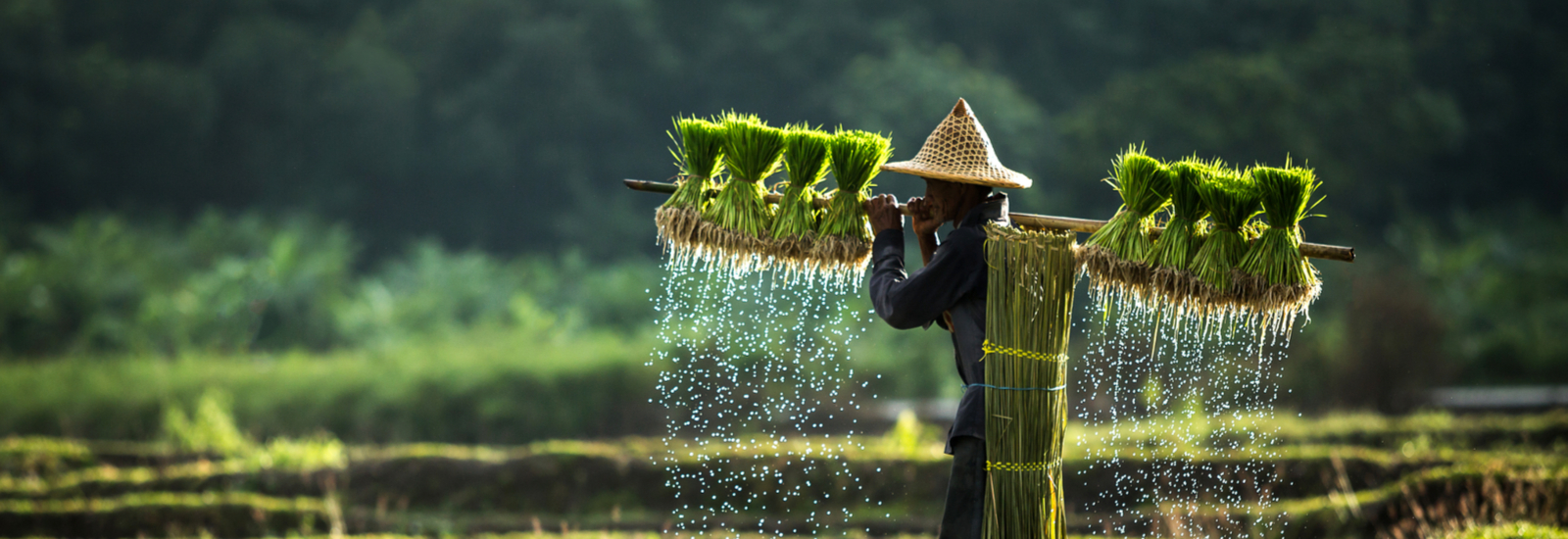 Empowering Change - Connected