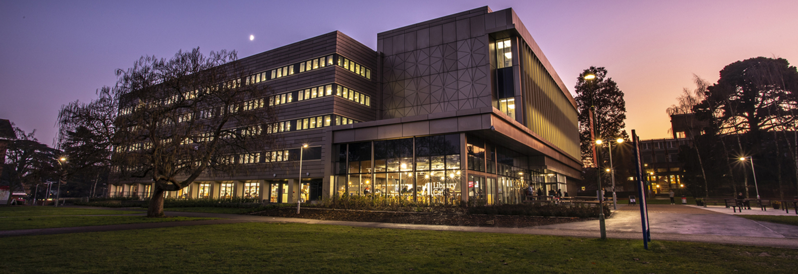 Celebrating Our Library - Connected